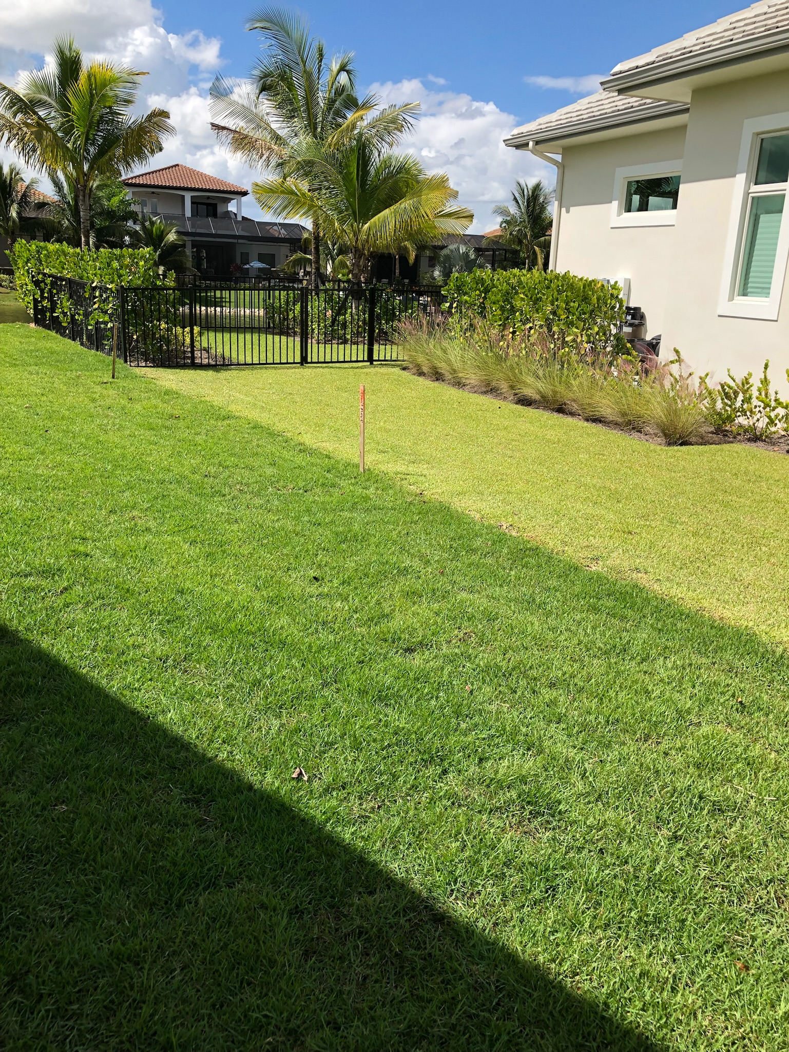 Turf | Termite Control in Cape Coral